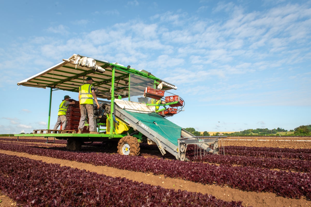 Our Farms - Blackdown Growers