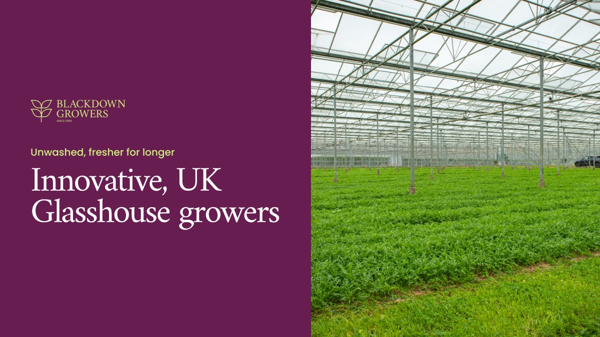 Home - Blackdown Growers