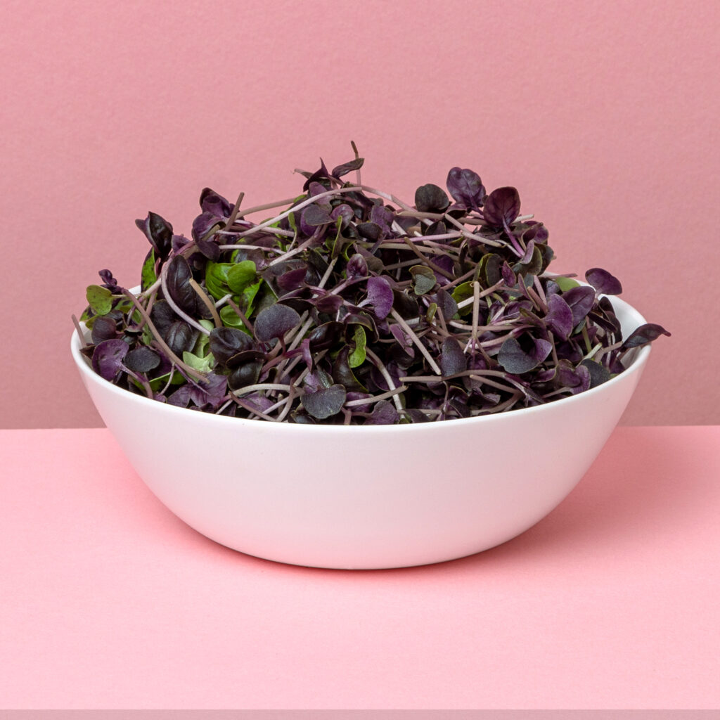 Micro Purple Basil - Blackdown Growers