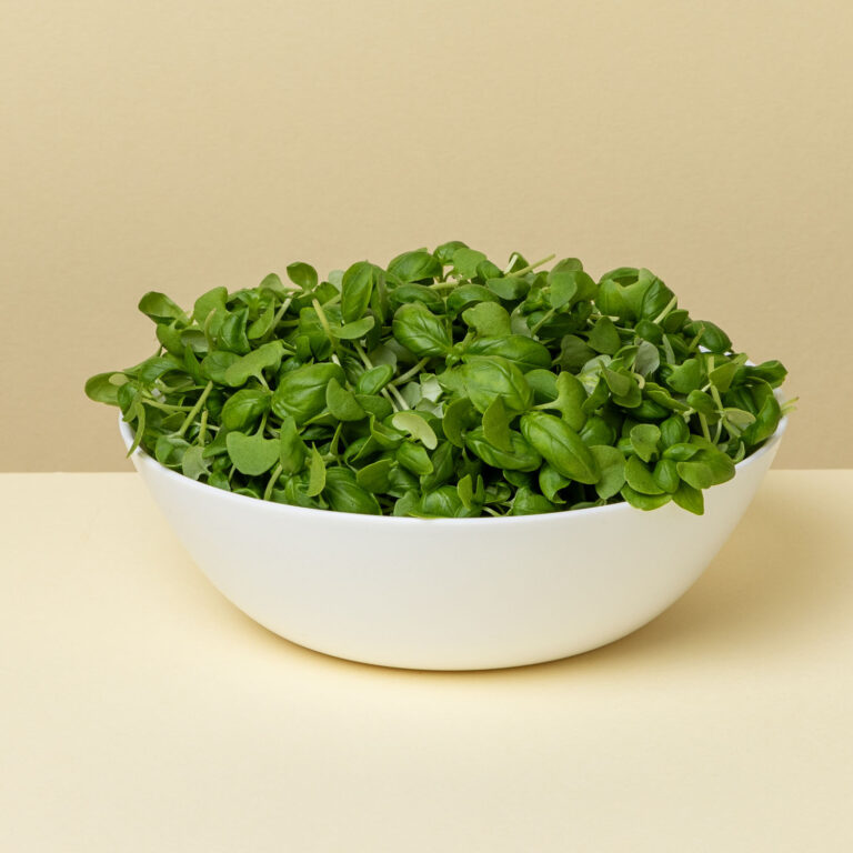 Our Produce - Blackdown Growers