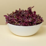 Our Produce - Blackdown Growers